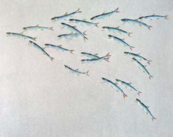 Color Gyotaku Arts | Nanoniele | MakiokaFufudo