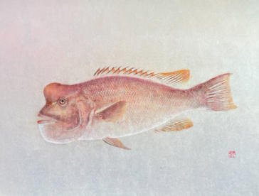 Color Gyotaku Arts | Nanoniele | MakiokaFufudo