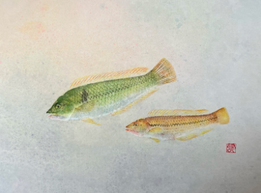 Color Gyotaku Arts | Nanoniele | MakiokaFufudo