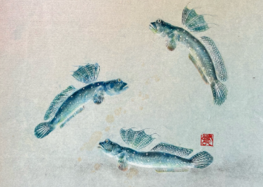 Mutsugoro (鯥五郎, Bluespotted mud hopper) | Nanoniele | MakiokaFufudo